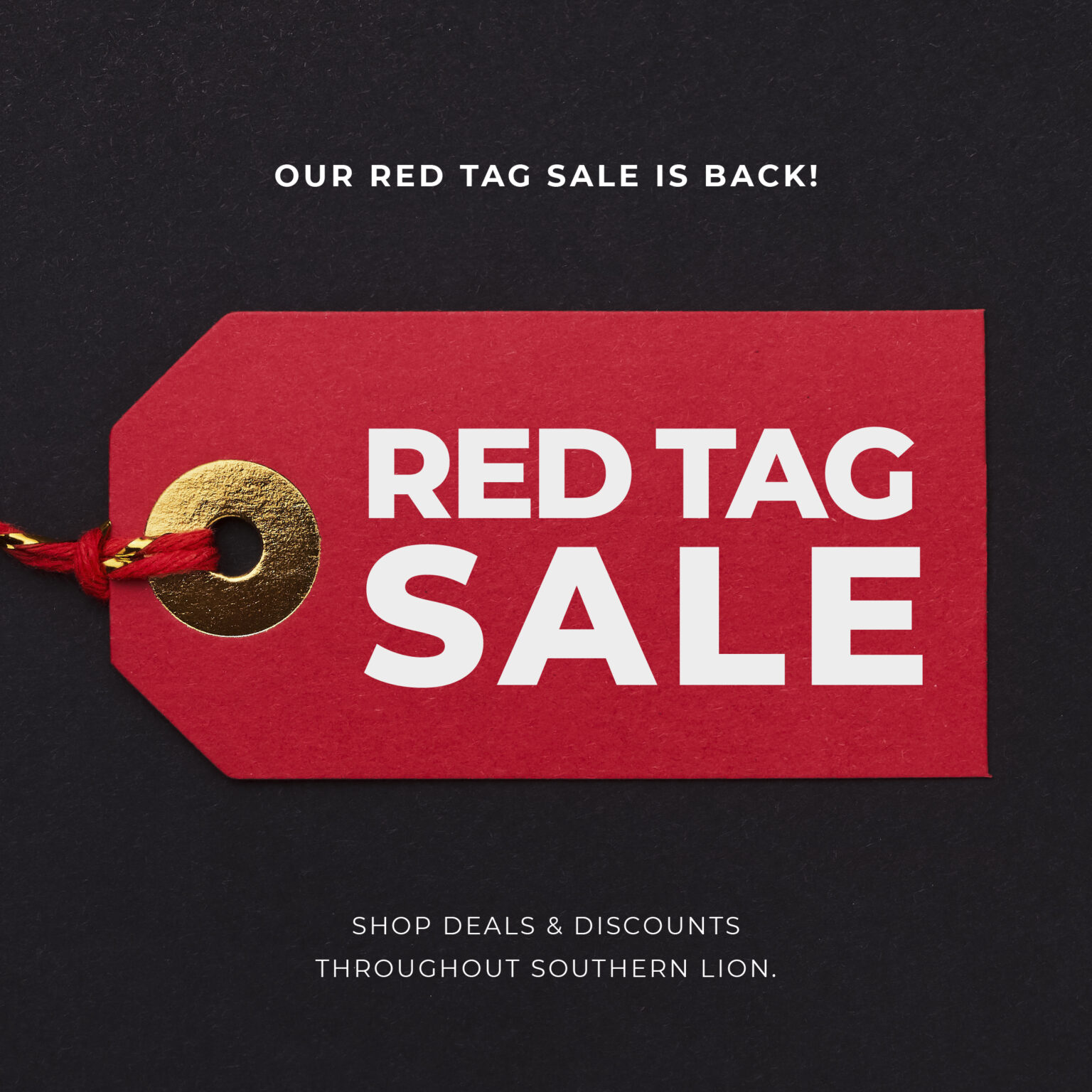 Southern Lion – Where Shopping Goes Beyond Ordinary